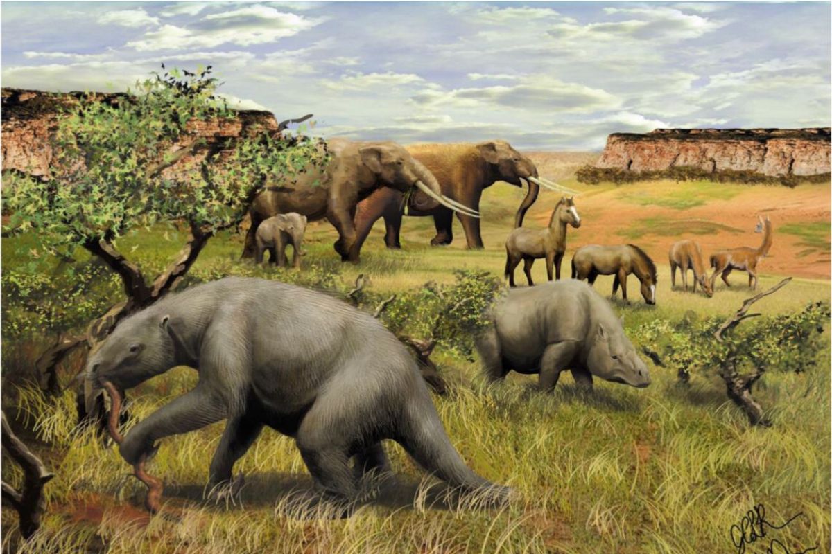 » Pesquisadora do Mestrado em Geografia do Câmpus de Aquidauana ...